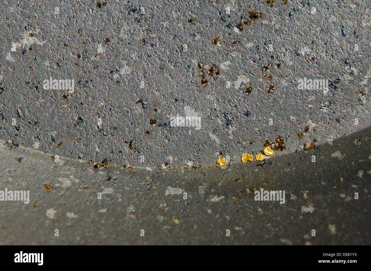 Flakes of gold in gold pan in historic old gold town Barkerville ...