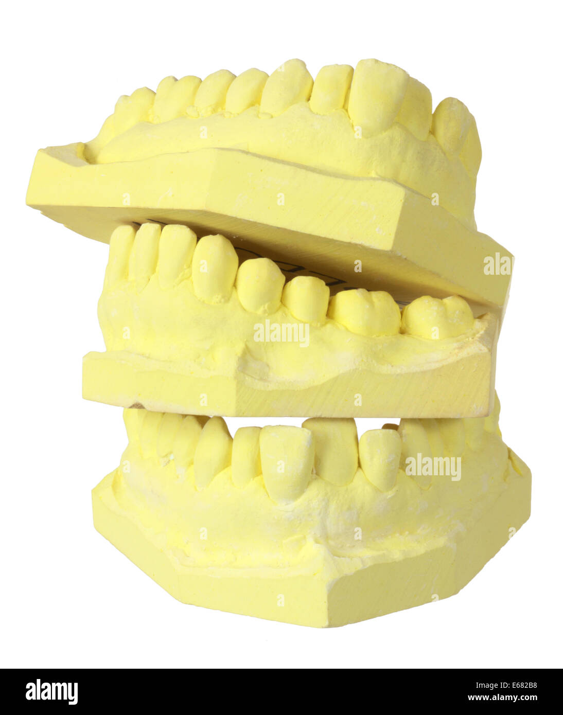 Denture mold Cut Out Stock Images & Pictures - Alamy