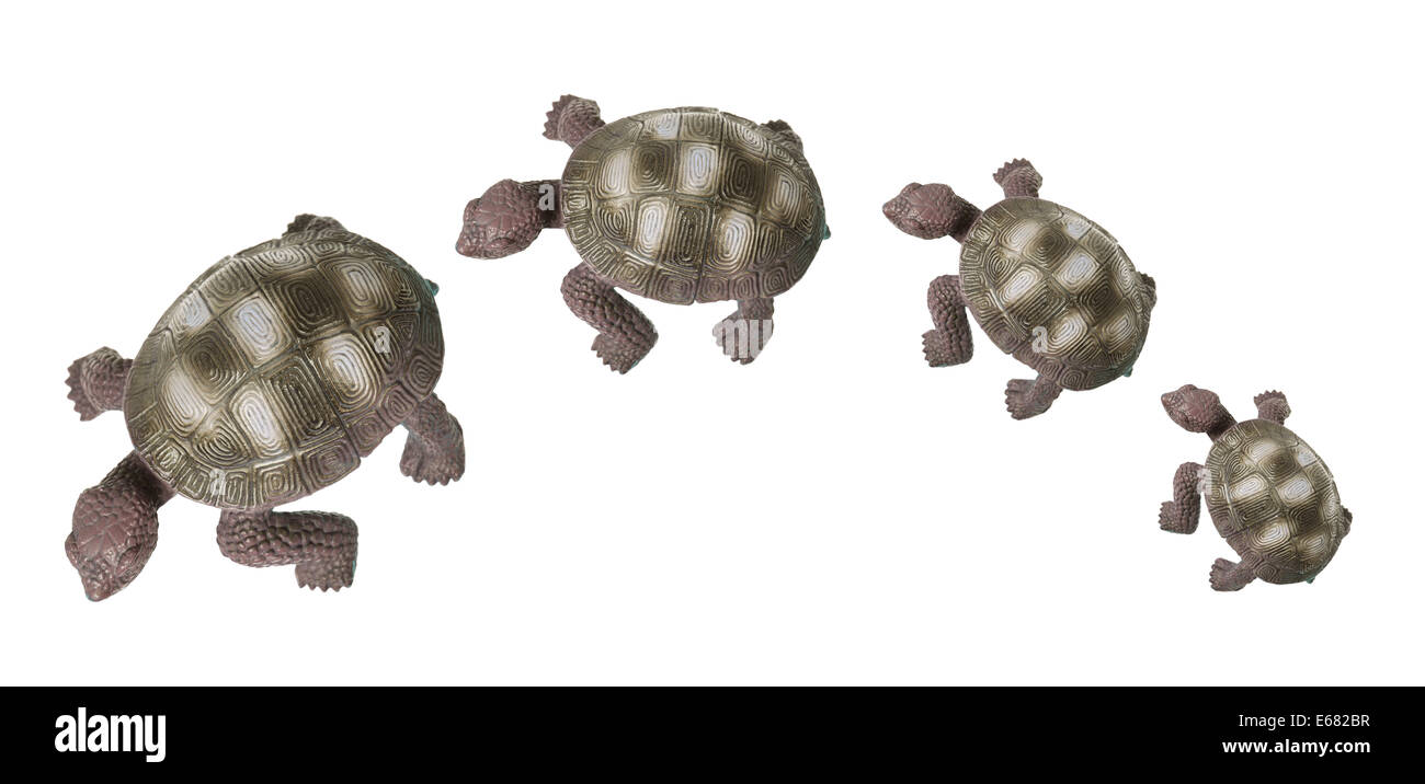 Plastic tortoise hi-res stock photography and images - Alamy