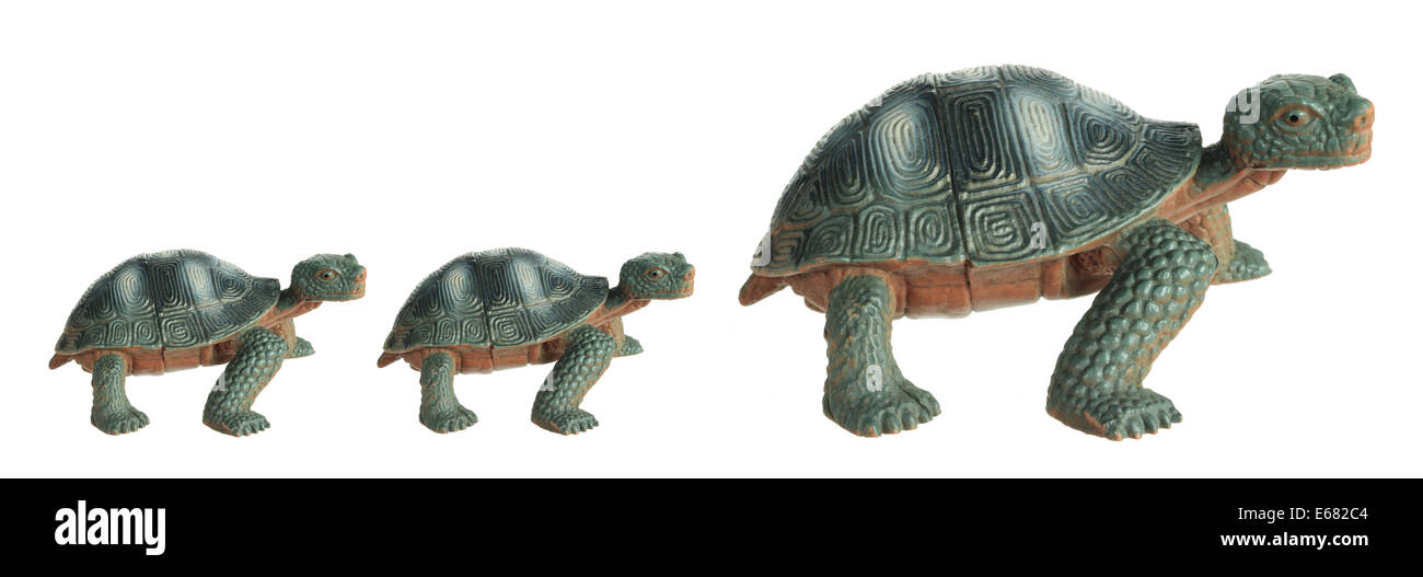 Plastic tortoise hi-res stock photography and images - Alamy