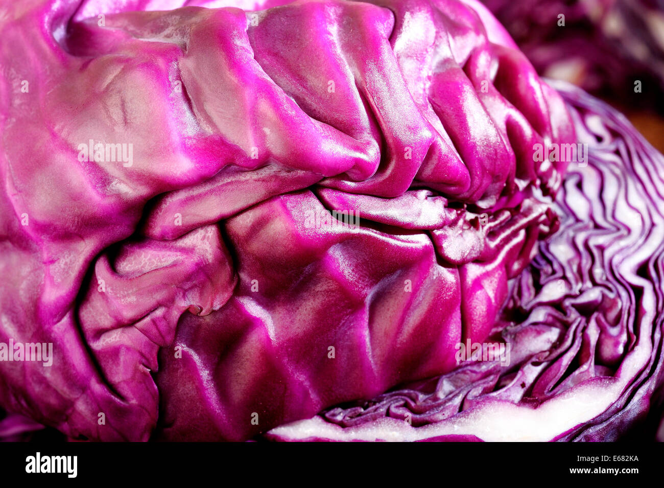 close up of red cabbage Stock Photo - Alamy