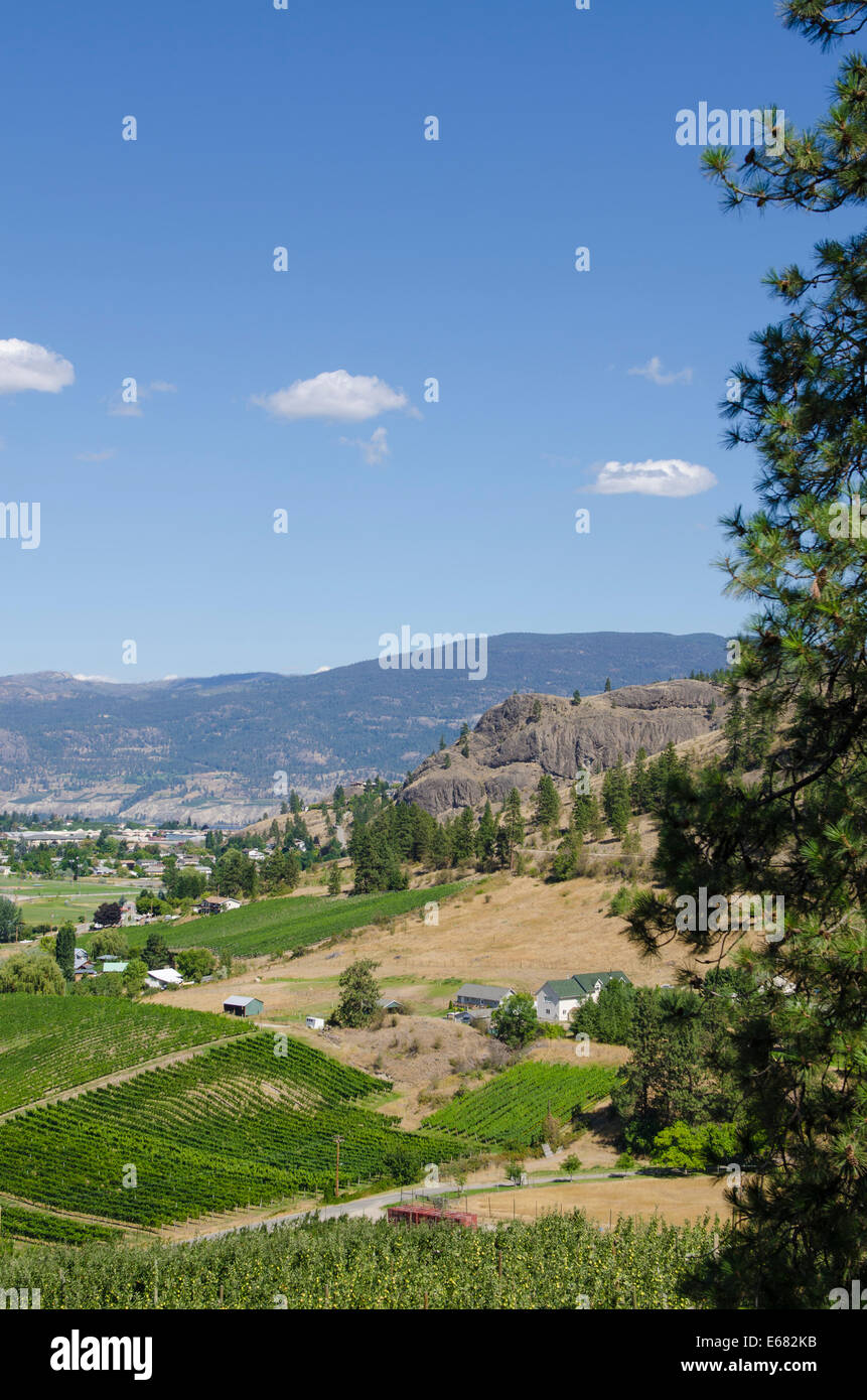 Farmland farming farm fields in valley Summerland, British Columbia ...