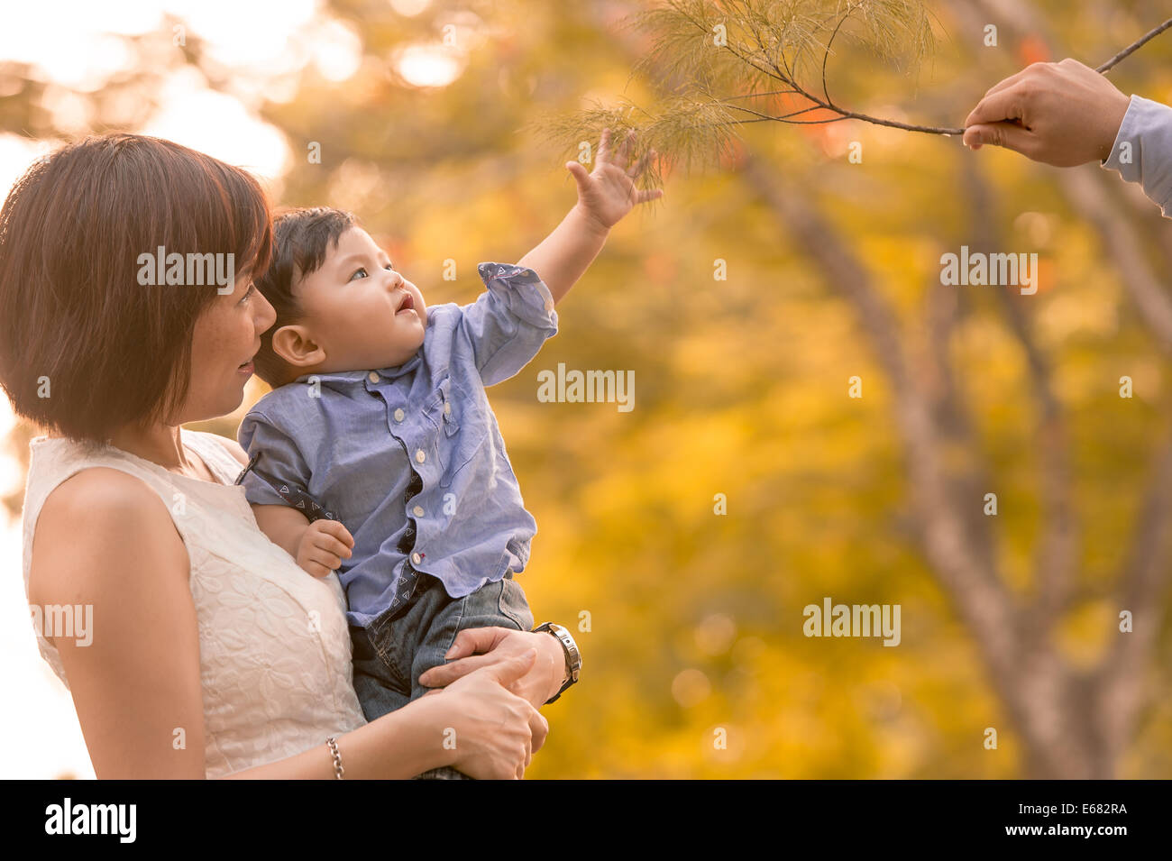 Young chinese family in hi-res stock photography and images - Alamy