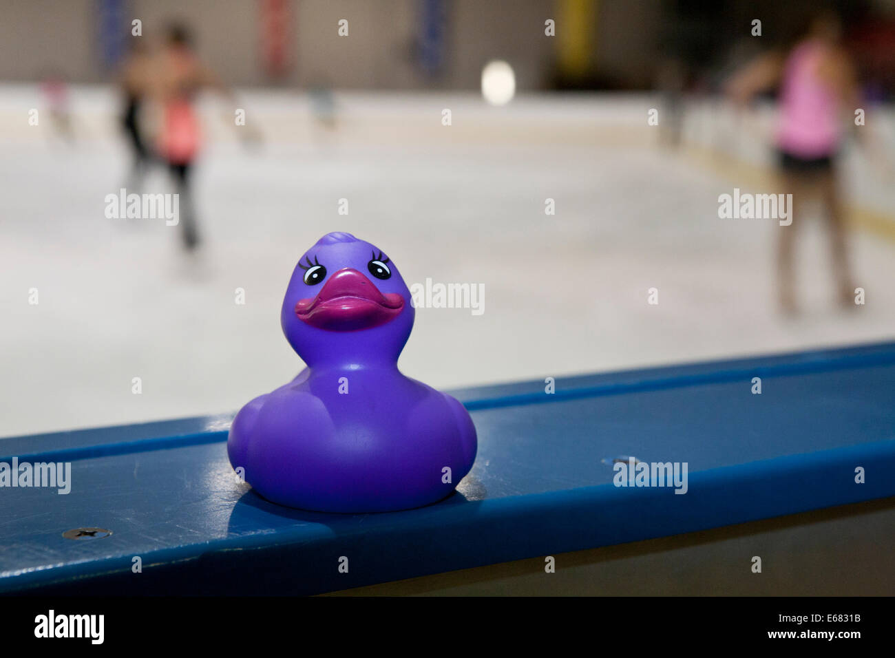 Rubber duck at skating rink Stock Photo - Alamy