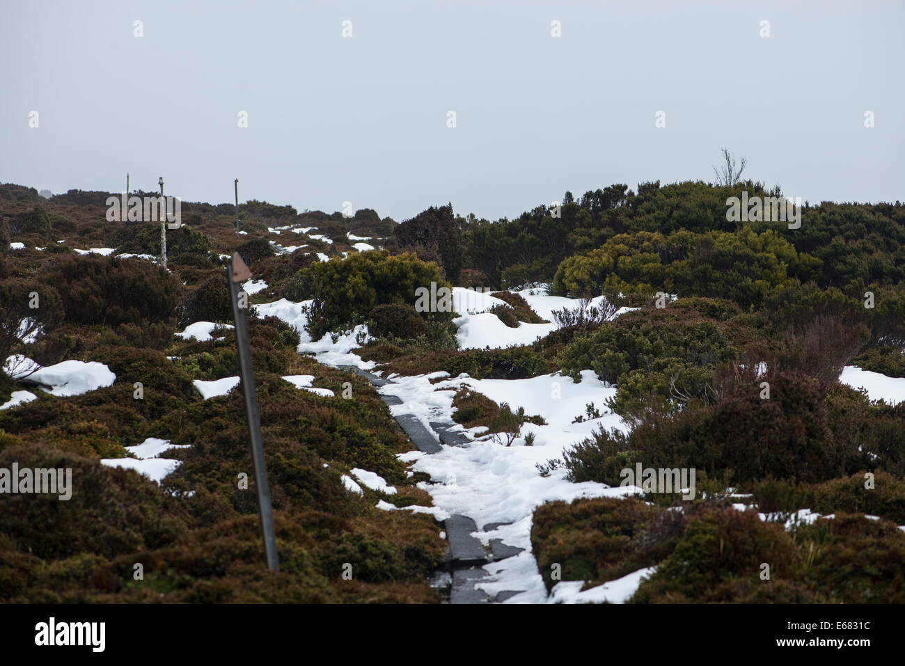 Overland track, Tasmania, Australia Stock Photo - Alamy