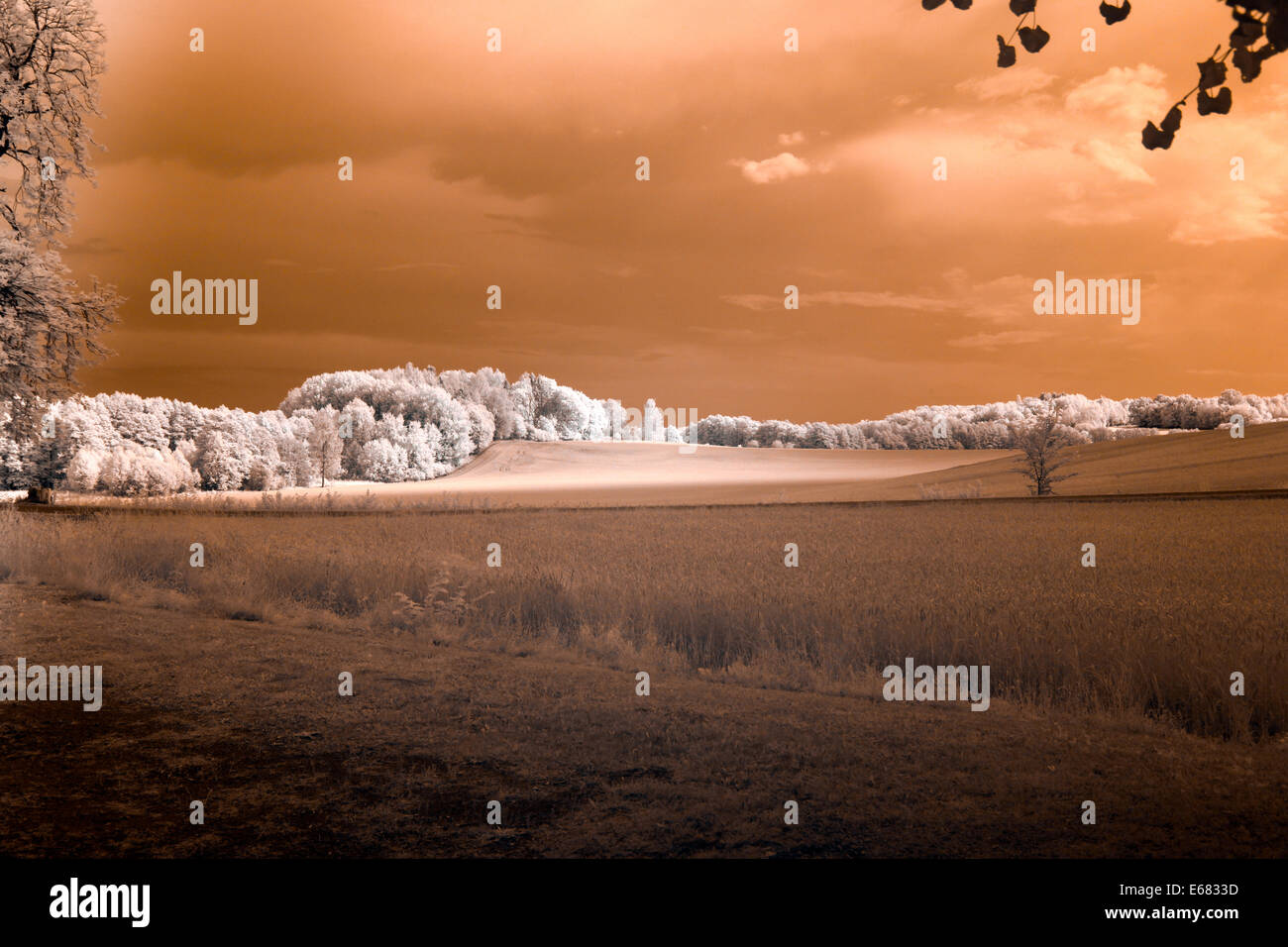 Open ir hi-res stock photography and images - Alamy