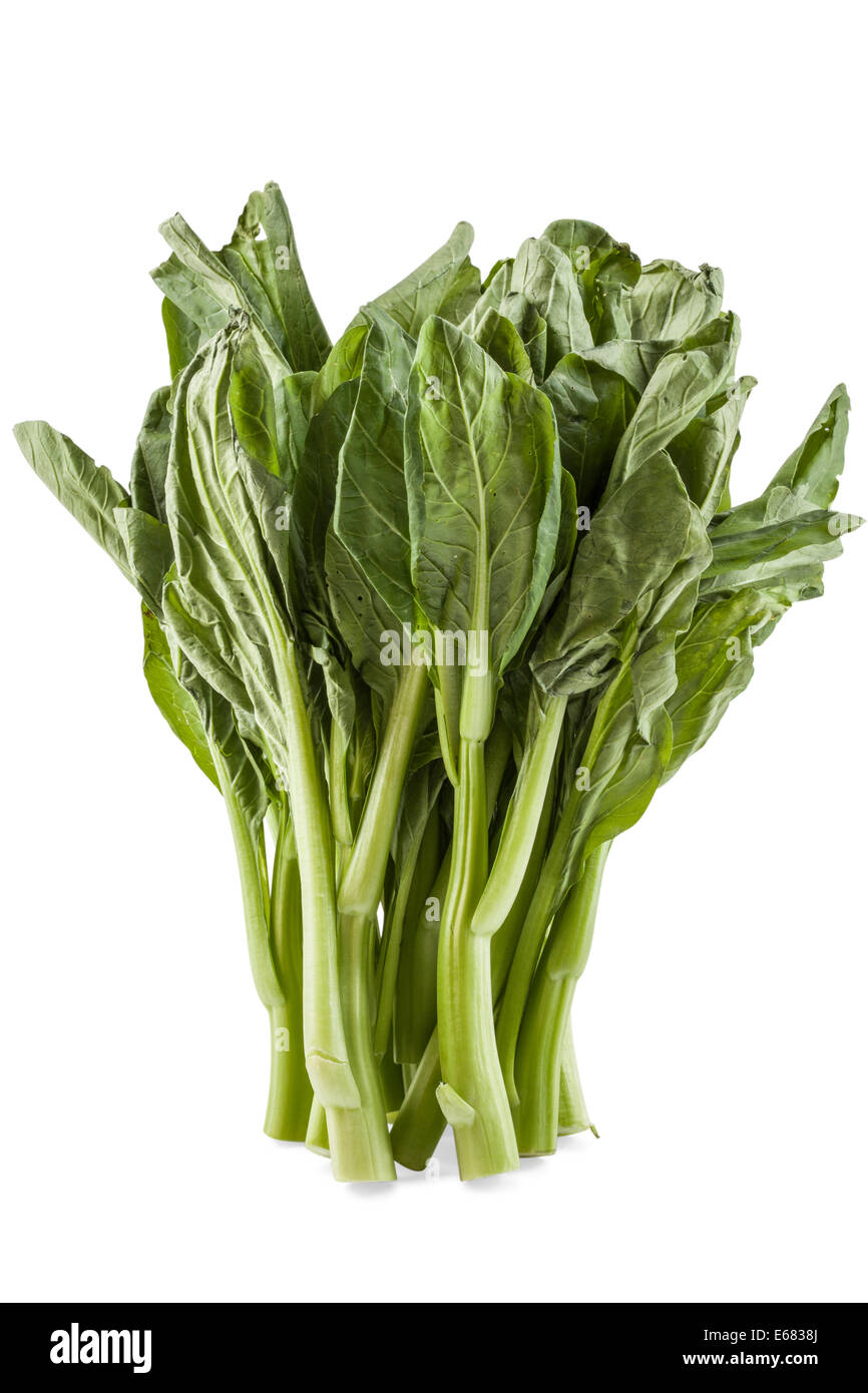 Chinese Kai Lan Stock Photo - Alamy