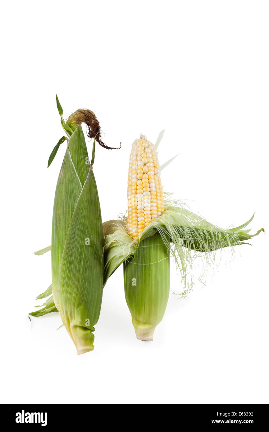 Corn stalk hi-res stock photography and images - Alamy