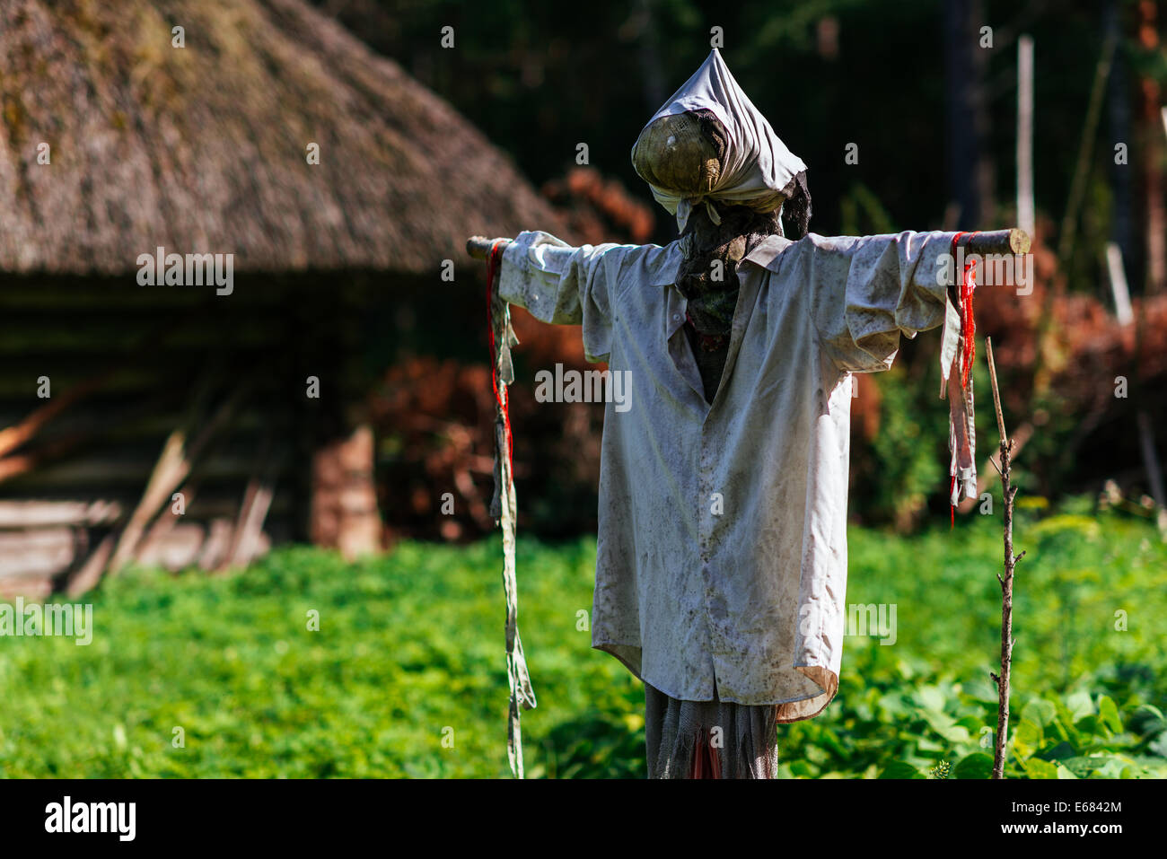 Scarecrow and traditional hut Stock Photo - Alamy