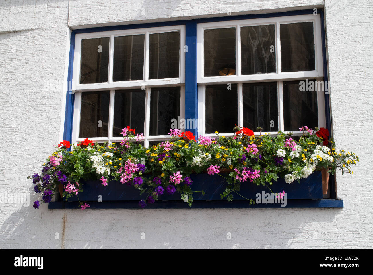 Fresh colourful summer flowers in a pub window box St Peter's Port ...