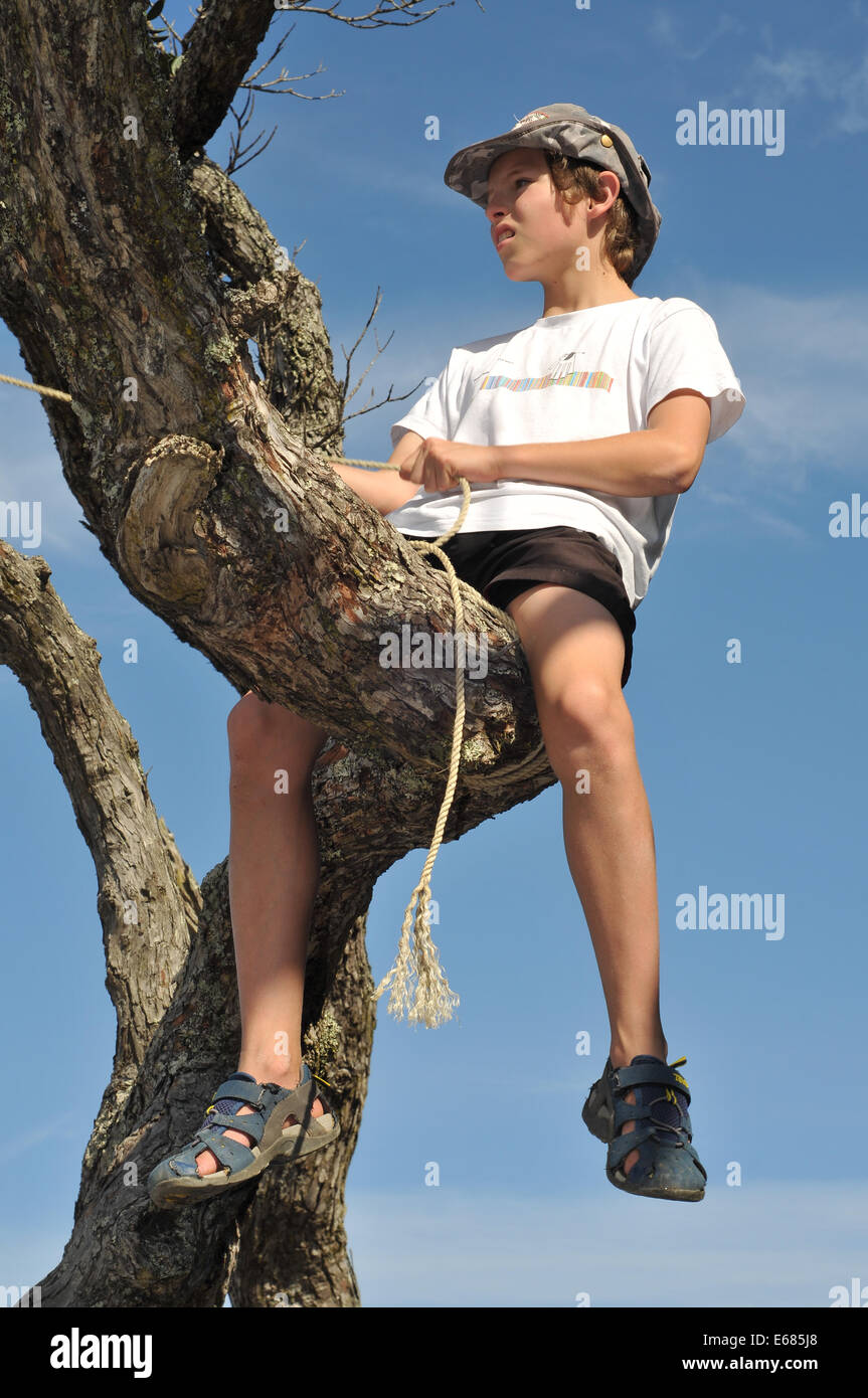 Boy sitting on branch hi-res stock photography and images - Alamy