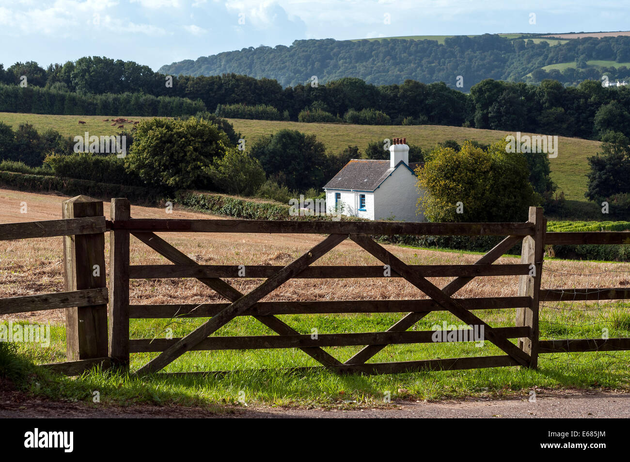 devon farm near river Dart,fields of the south devon at harvest time ...