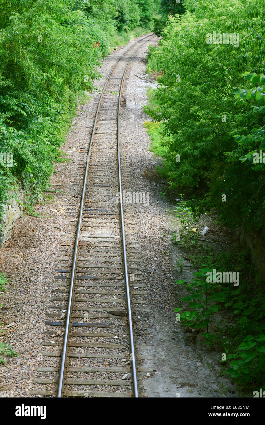 Railroad tracks trees hi-res stock photography and images - Alamy