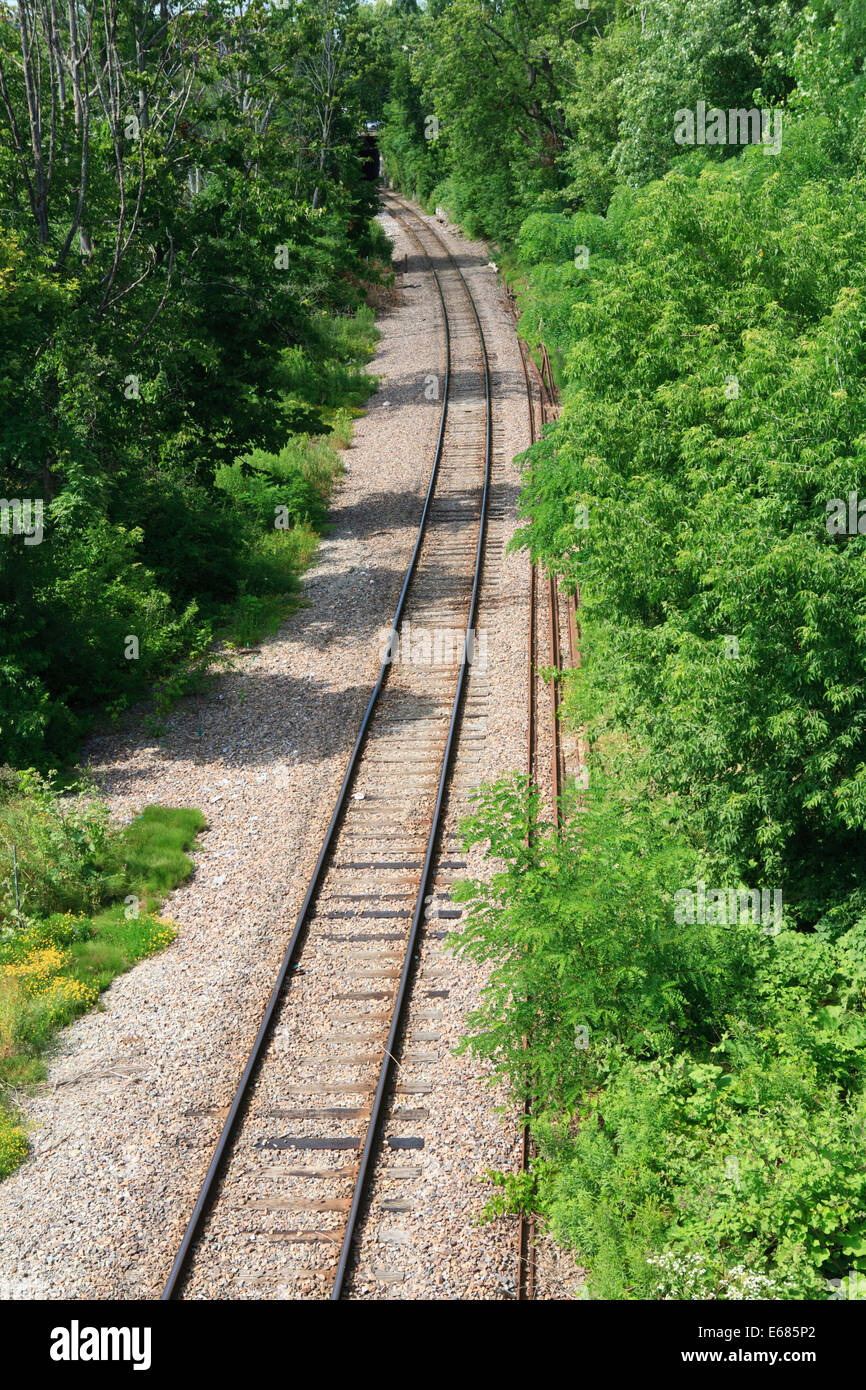 Trees Pictures With Railroad Track Custom Photo Wallpaper 3D Railroad