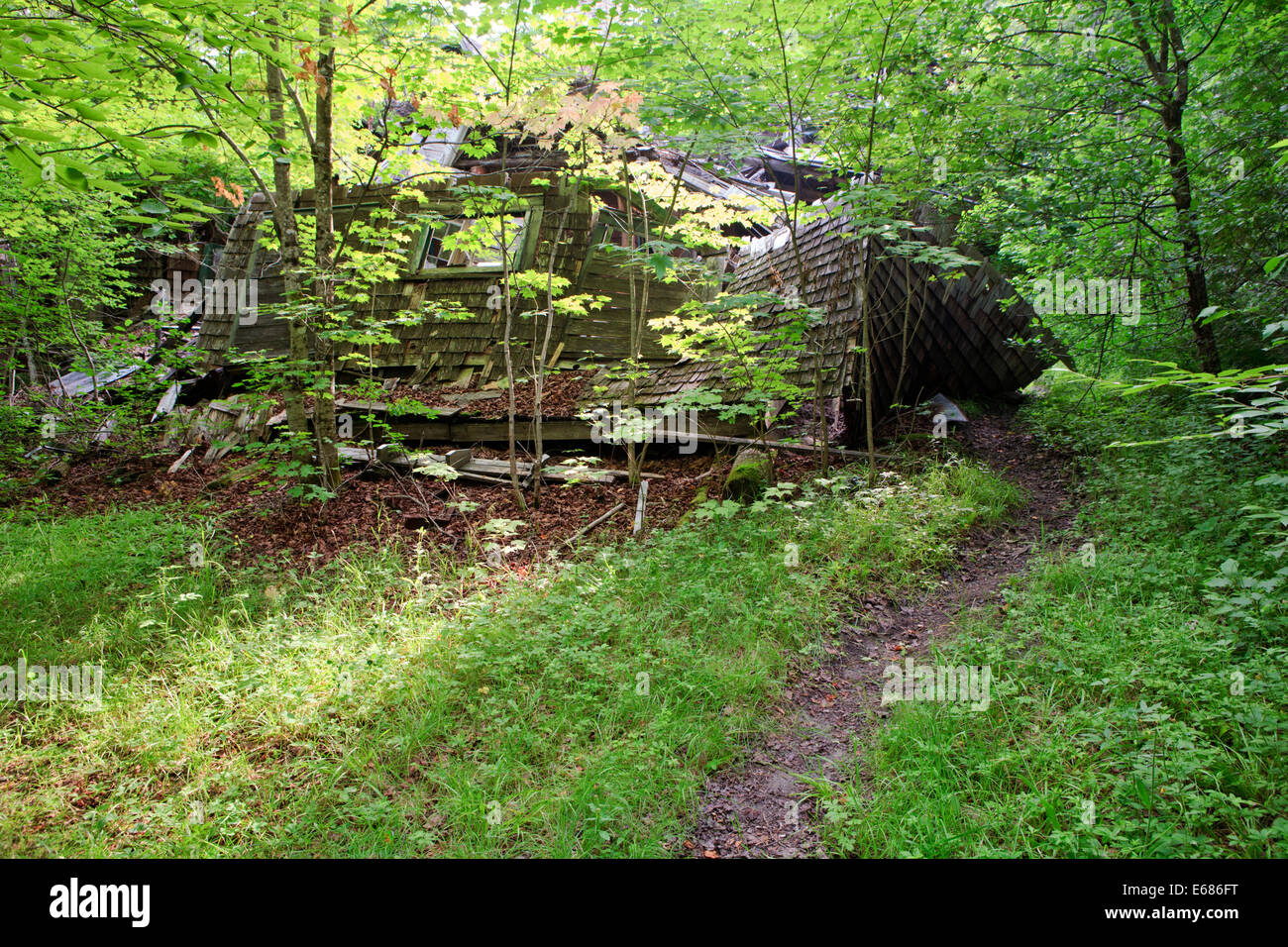 Fallen house in the woods Stock Photo - Alamy