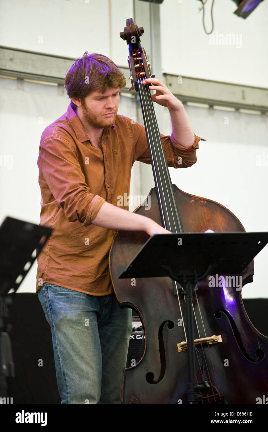 Bass player on stage hi-res stock photography and images - Alamy