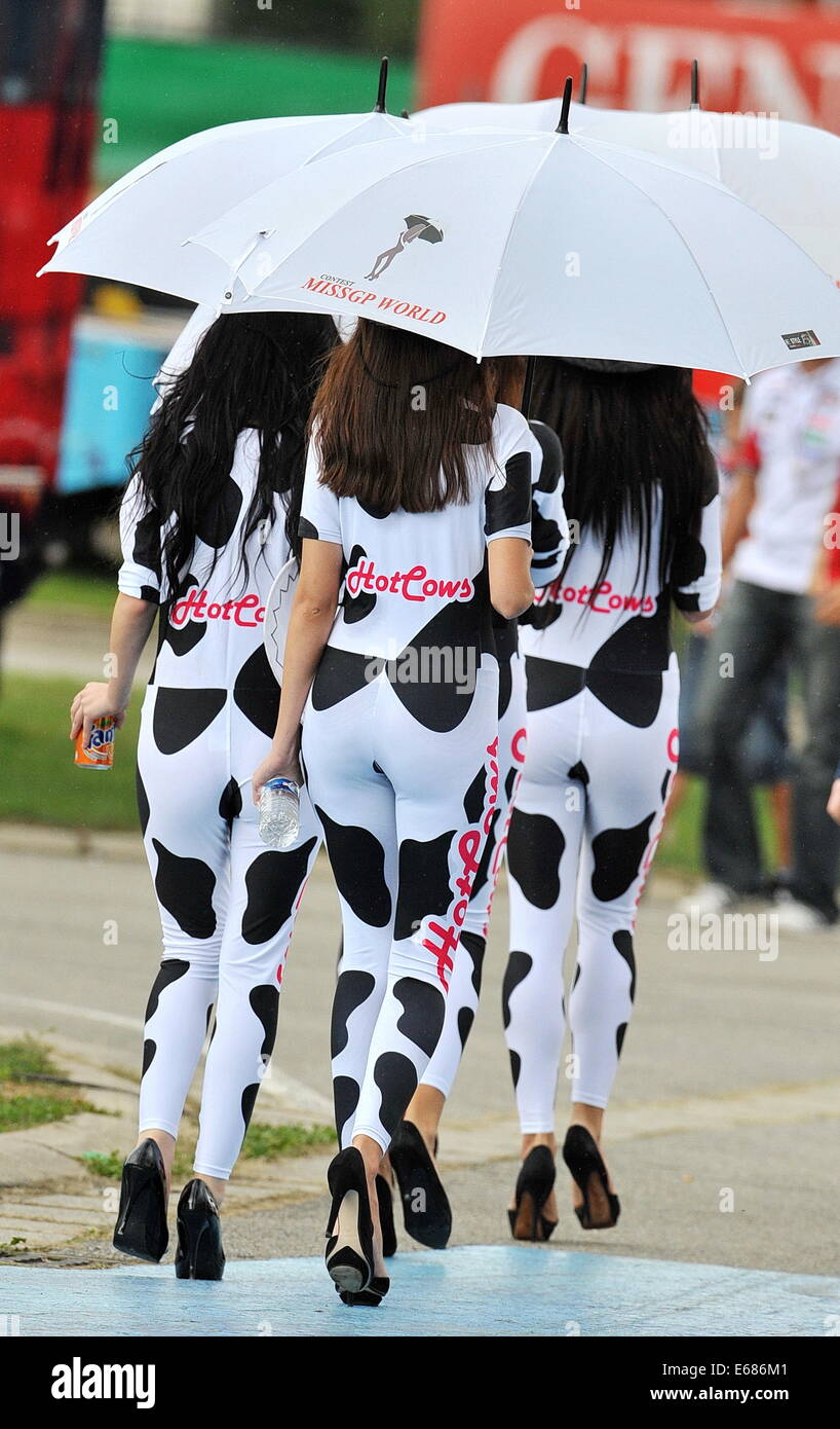 The Hot Cows hostesses are seen during motorcycle Grand Prix race at ...