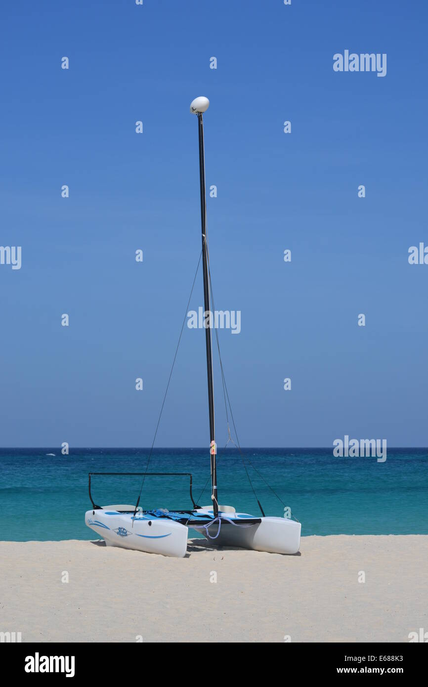 Catamaran on Aruba Beach Stock Photo - Alamy