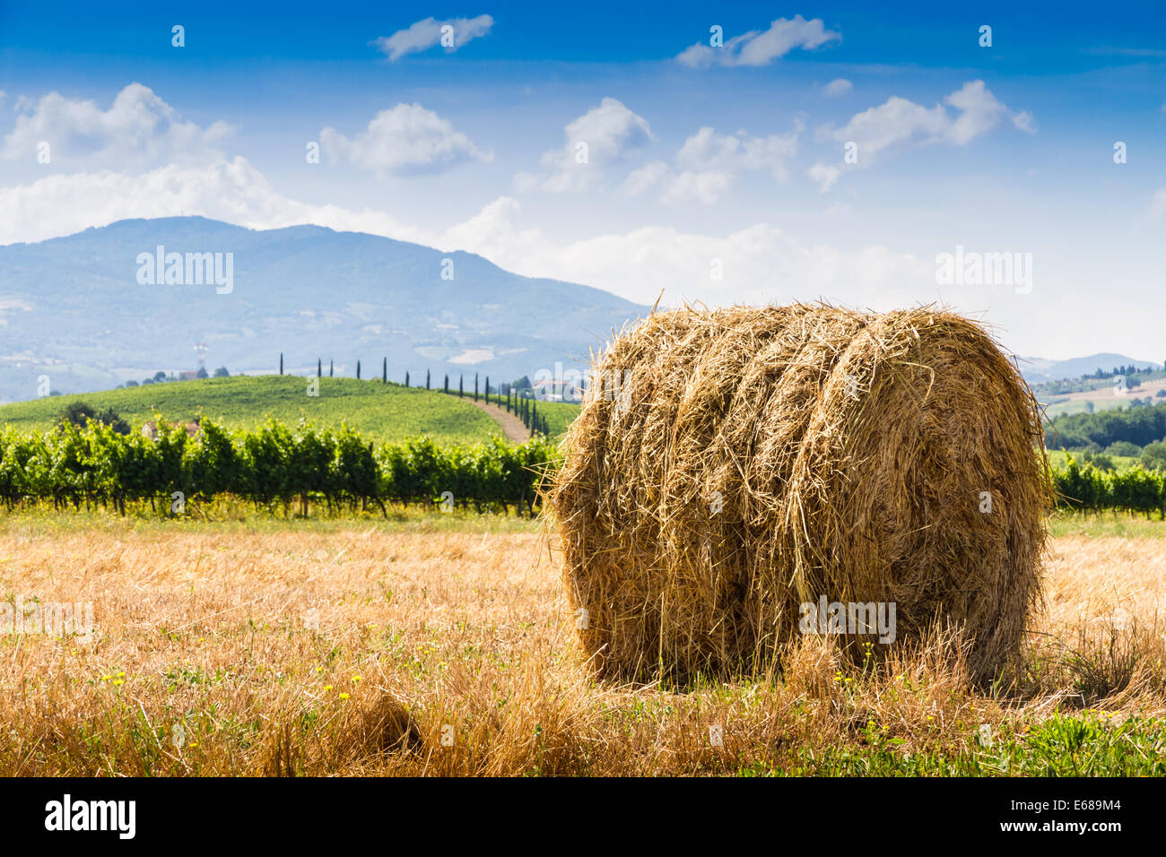 Haycock hi-res stock photography and images - Alamy