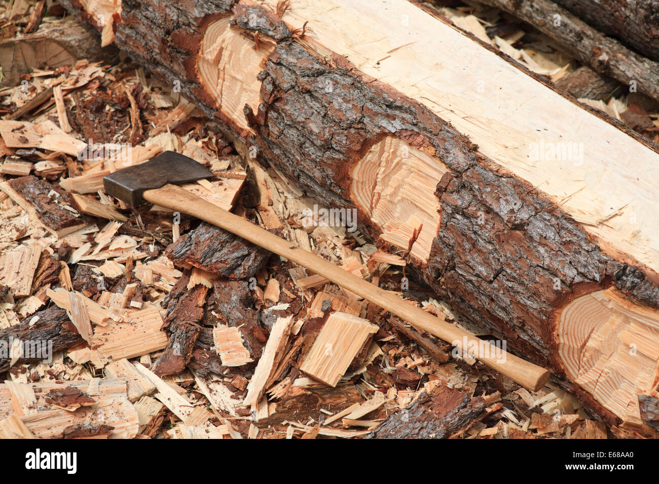 Log roughly cut to prepare it for squaring and use in building Stock ...