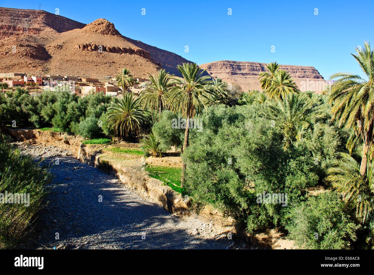 Man made mahogany trees hi-res stock photography and images - Alamy