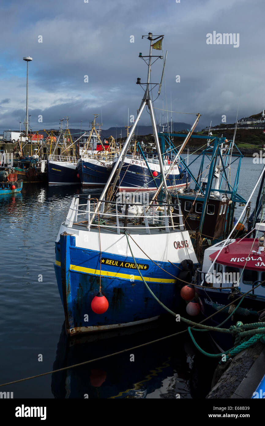 Mallaig Harbour, Lochaber, Highlands of Scotland Stock Photo - Alamy