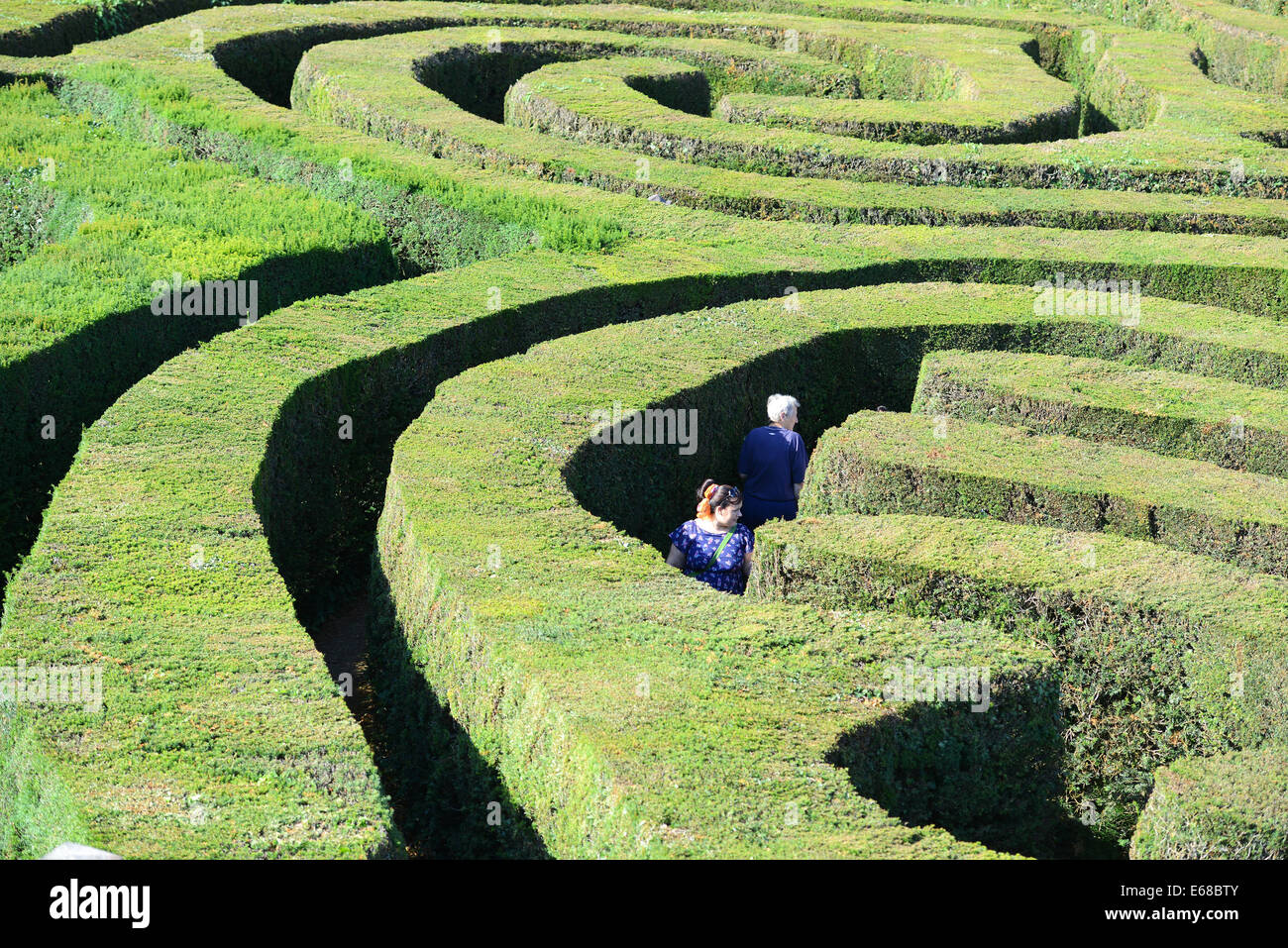 Garden Maze In England