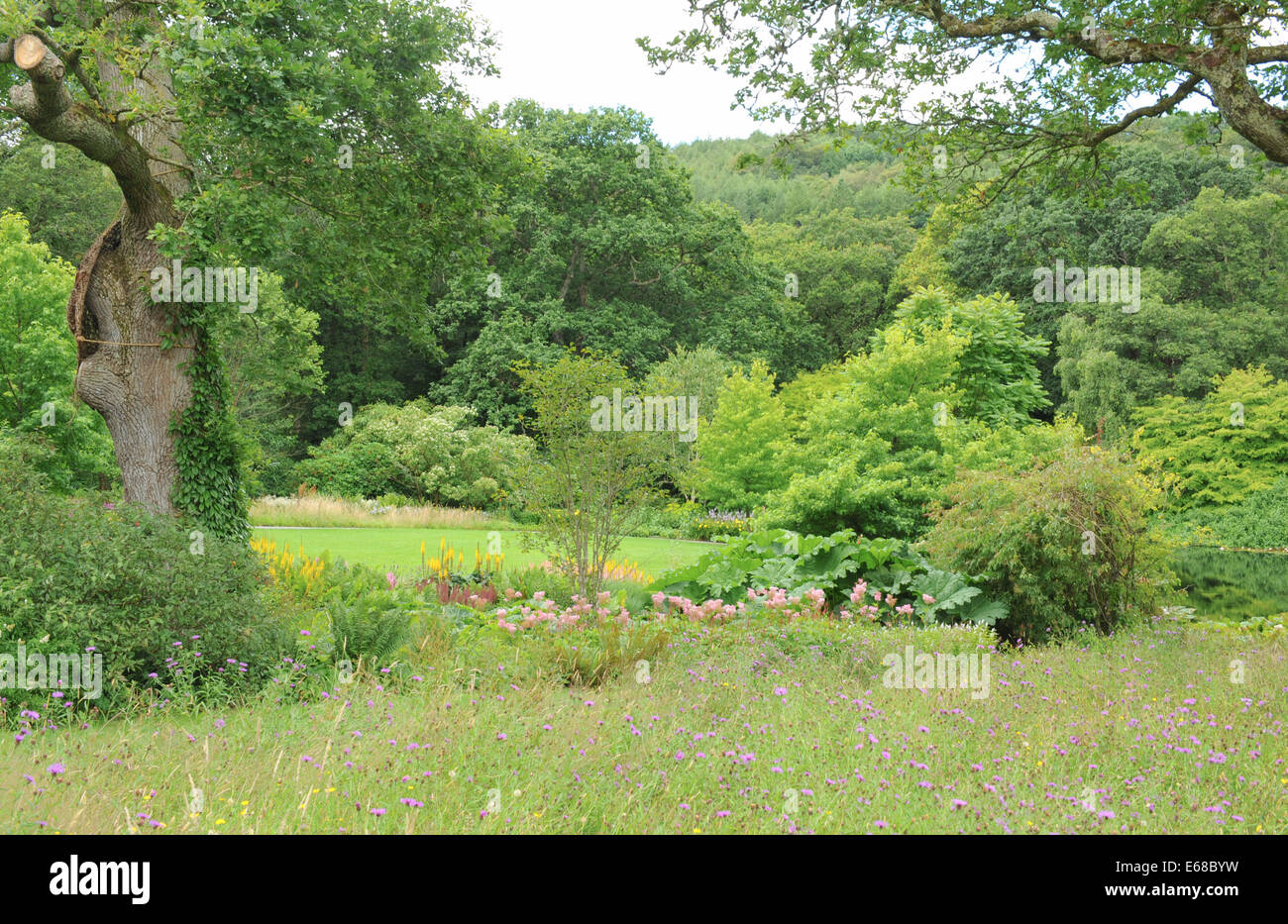 Typical devon landscape hi-res stock photography and images - Alamy