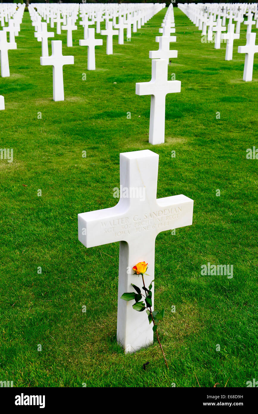 Cross Grave Marker yellow rose Normandy American Cemetery France ...
