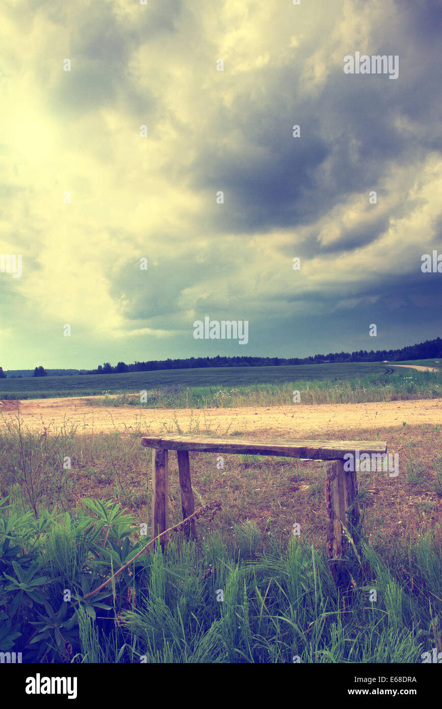 Field bench flower hi-res stock photography and images - Alamy