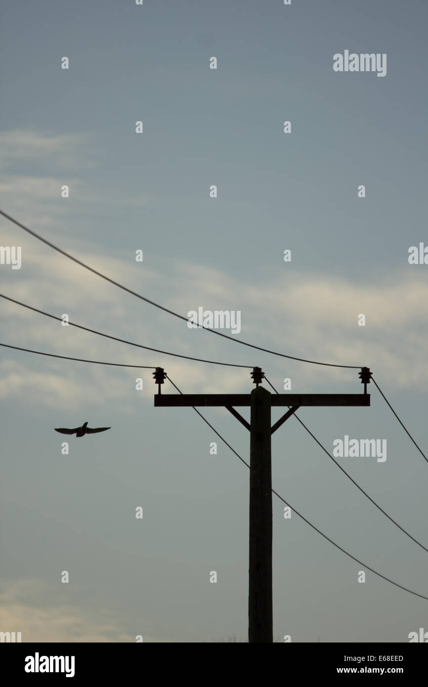 Overhead telephone cable hi-res stock photography and images - Alamy