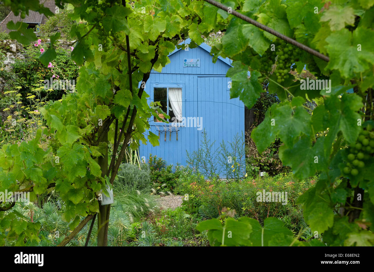 Blue garden shed hi-res stock photography and images - Alamy
