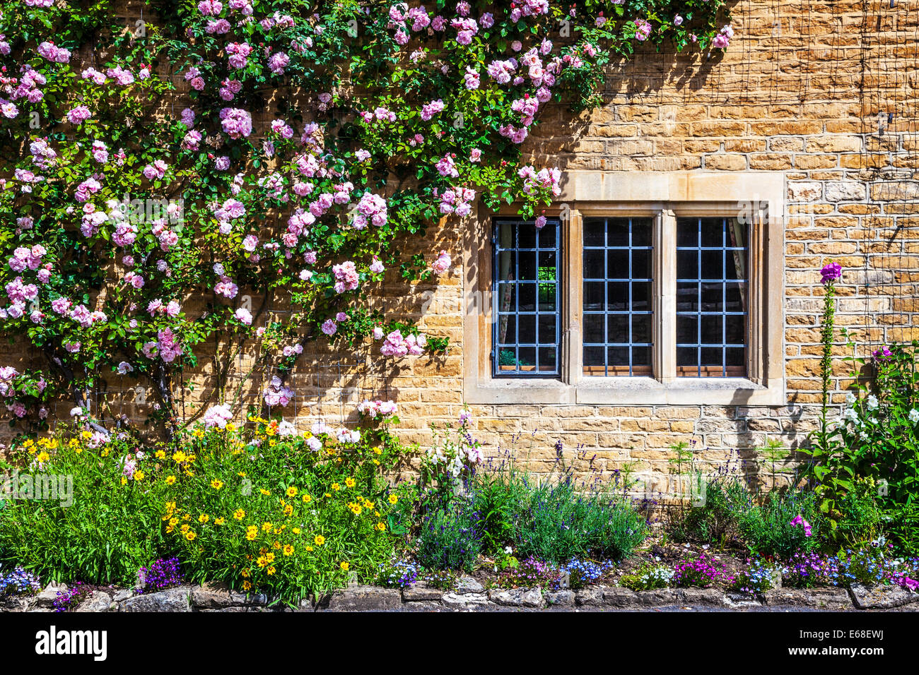 Cotswold stone cottage front with mullioned, leaded windows, rambling ...