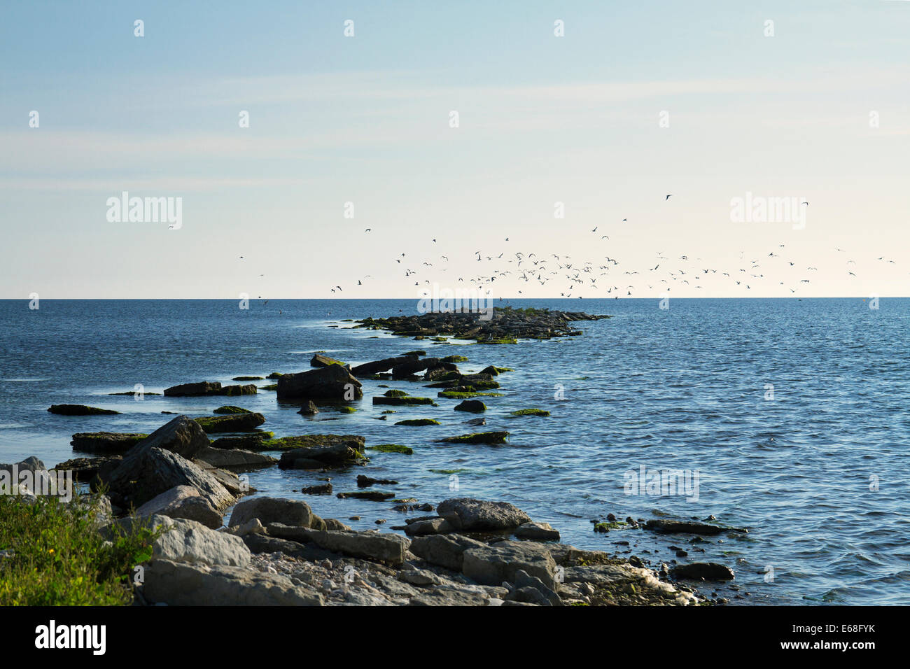 Coast sea and on shore rocks Stock Photo - Alamy
