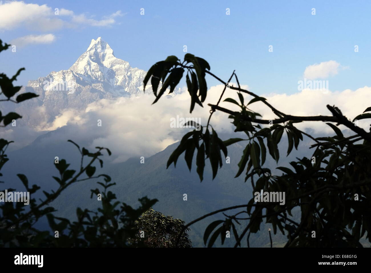 The 6993 ms.high Machapuchare-Machhapuchhre Fish.s Tail mountain in the ...