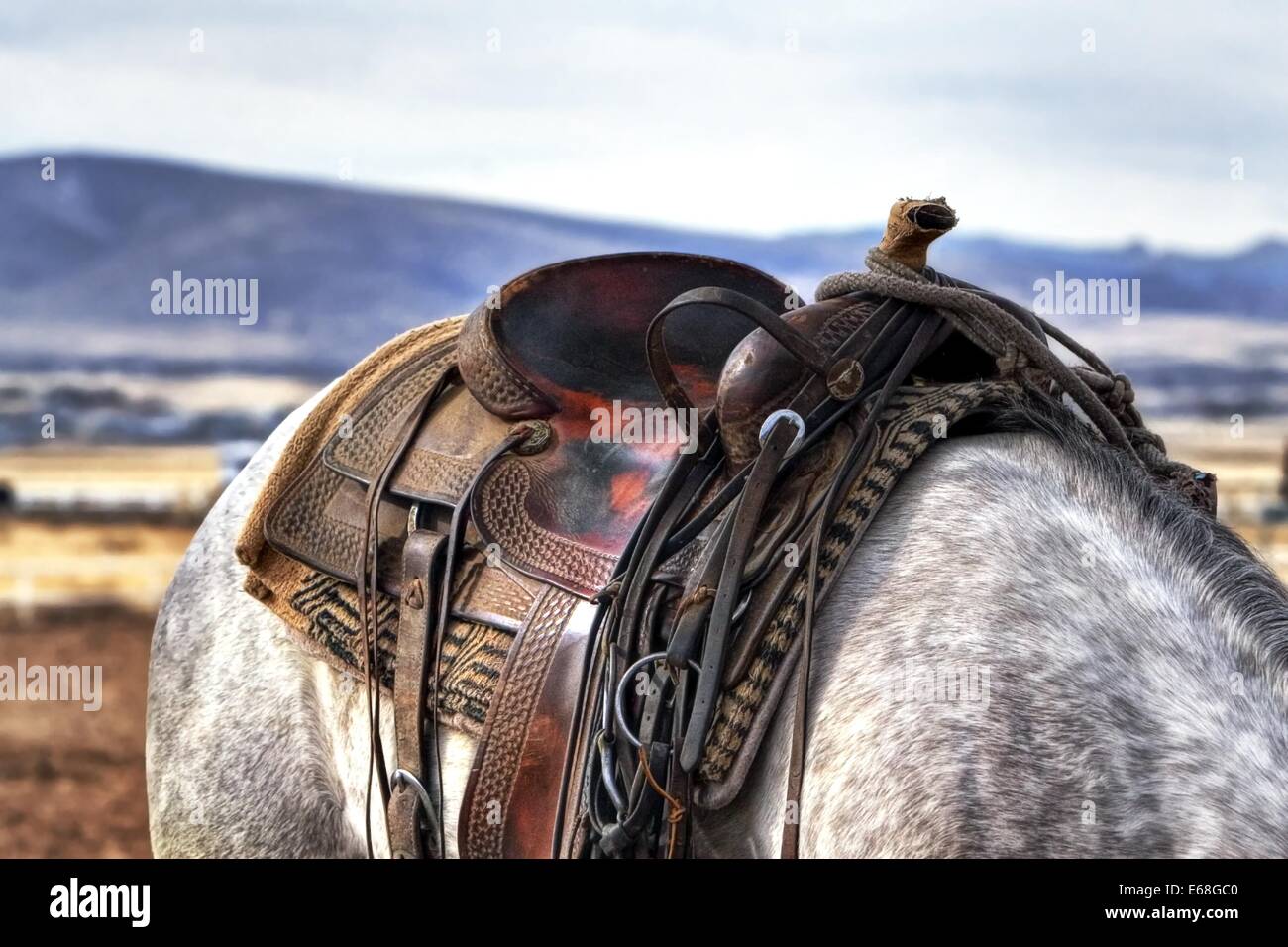 A cowboy rides a saddle horse on a farm, representing a traditional ...