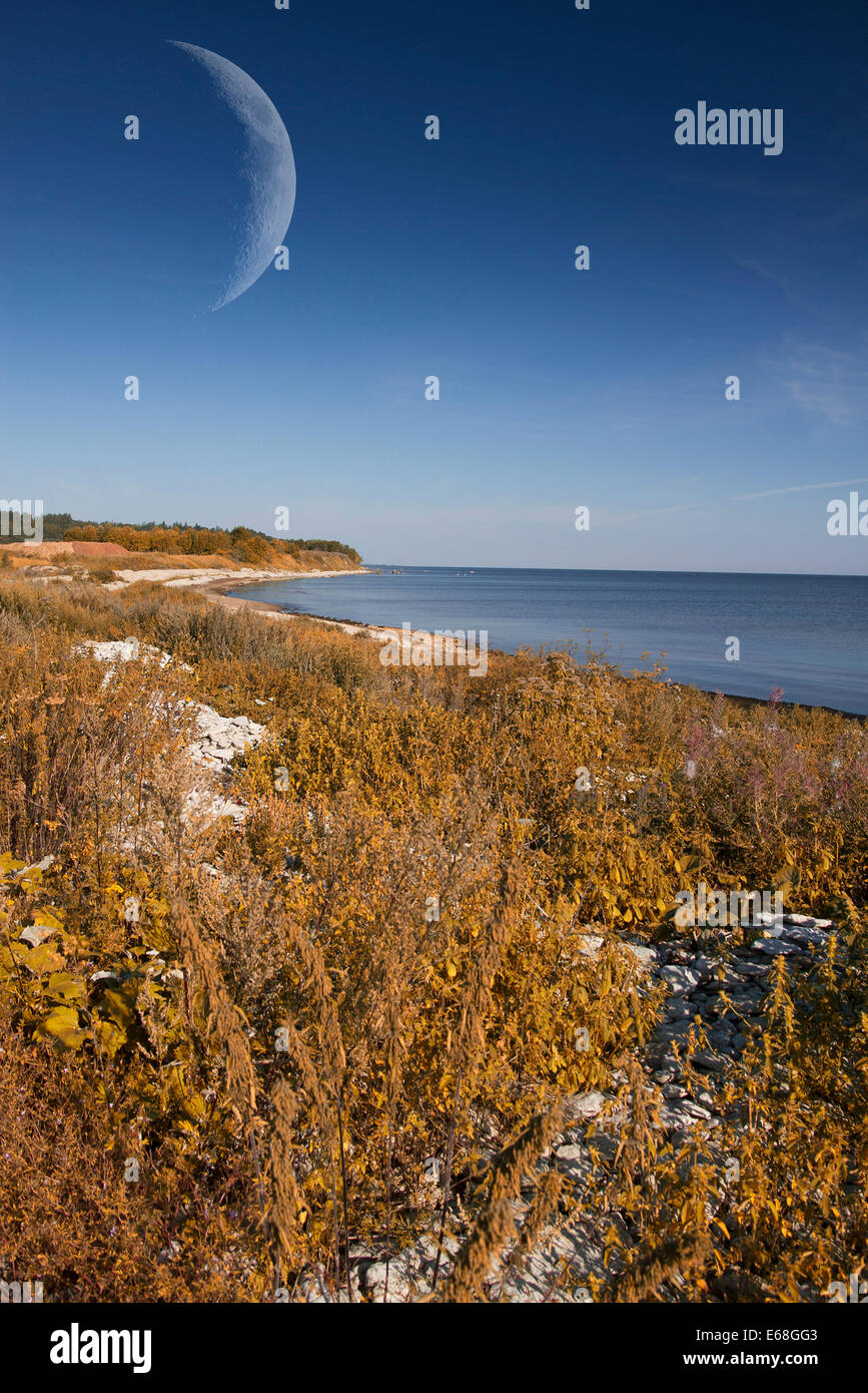 autumn moon over the sea Stock Photo - Alamy