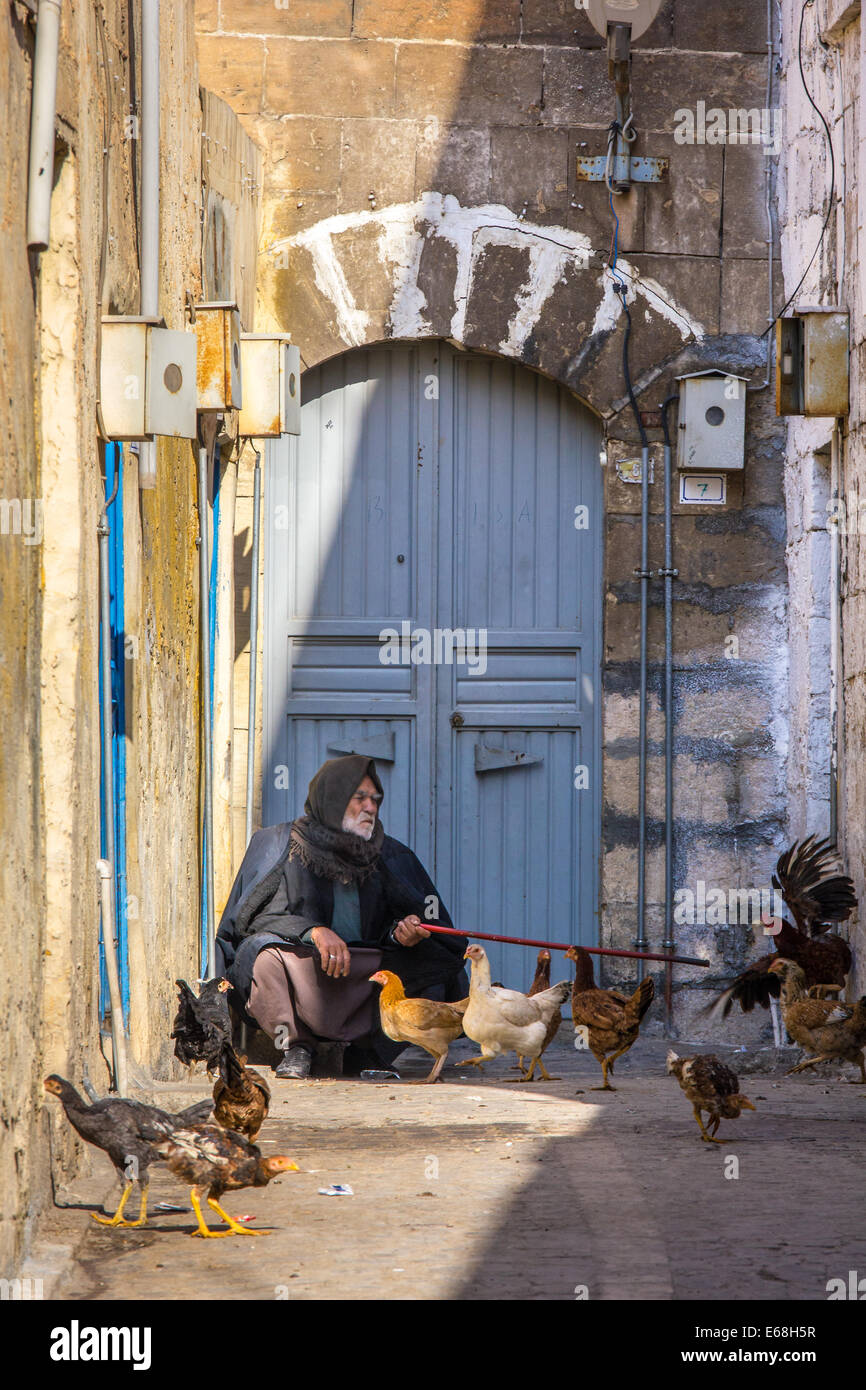 An old Kurdish-Turkish man, sitting in an alley of the old city of ...