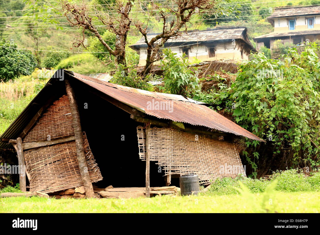 Old rural cabin with rush mat walls made of braided wicker and tin roof ...