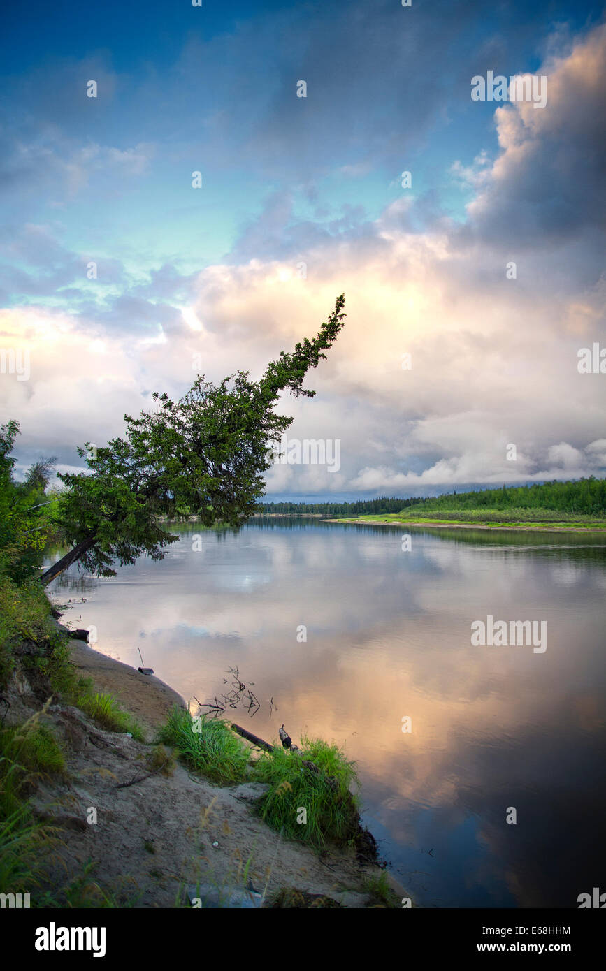 nature of Siberia and the Yamal Stock Photo - Alamy