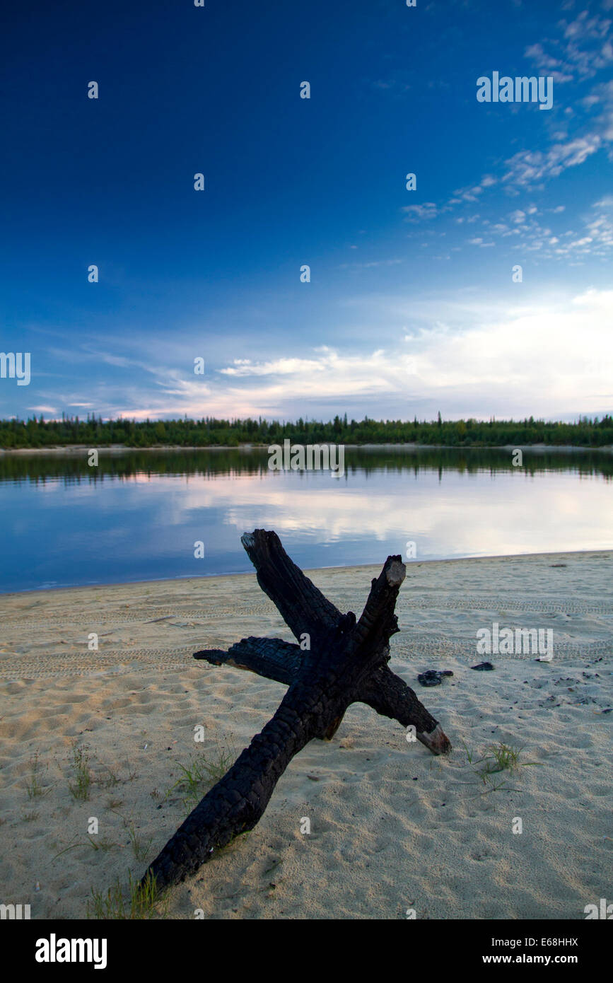 nature of Siberia and the Yamal Stock Photo - Alamy