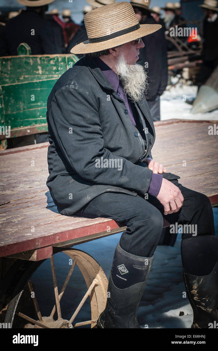 Amish Man Horse Buggy High Resolution Stock Photography and Images - Alamy