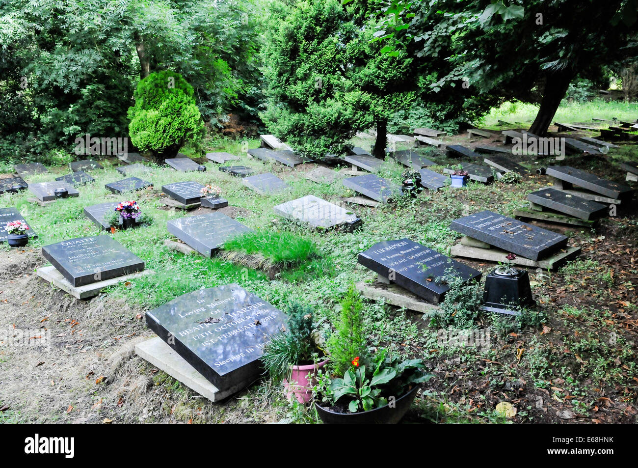 Moravian Church burial ground, with headstones laid flat on the ground Stock Photo - Alamy