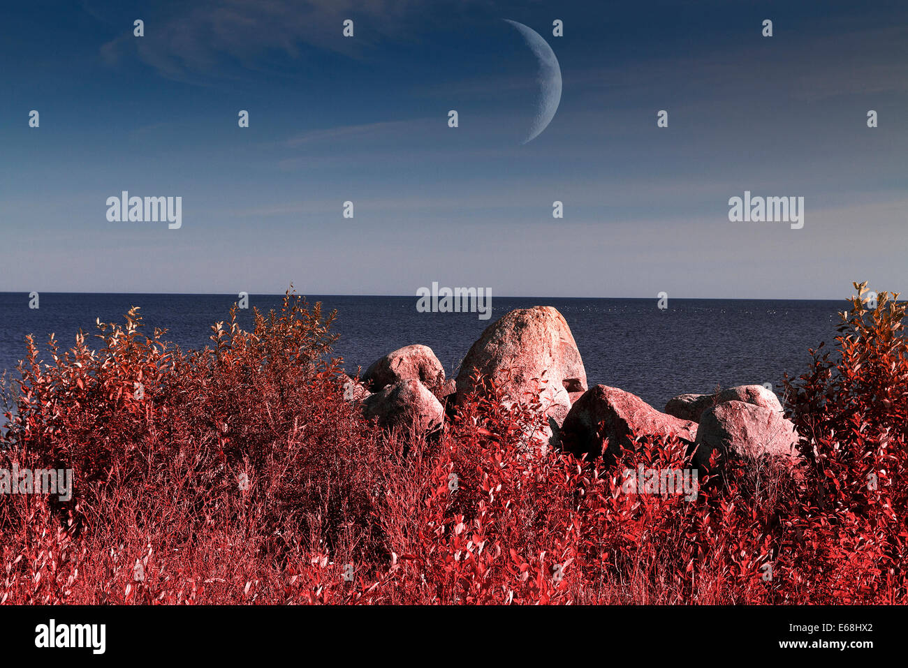 autumn moon over the sea Stock Photo - Alamy