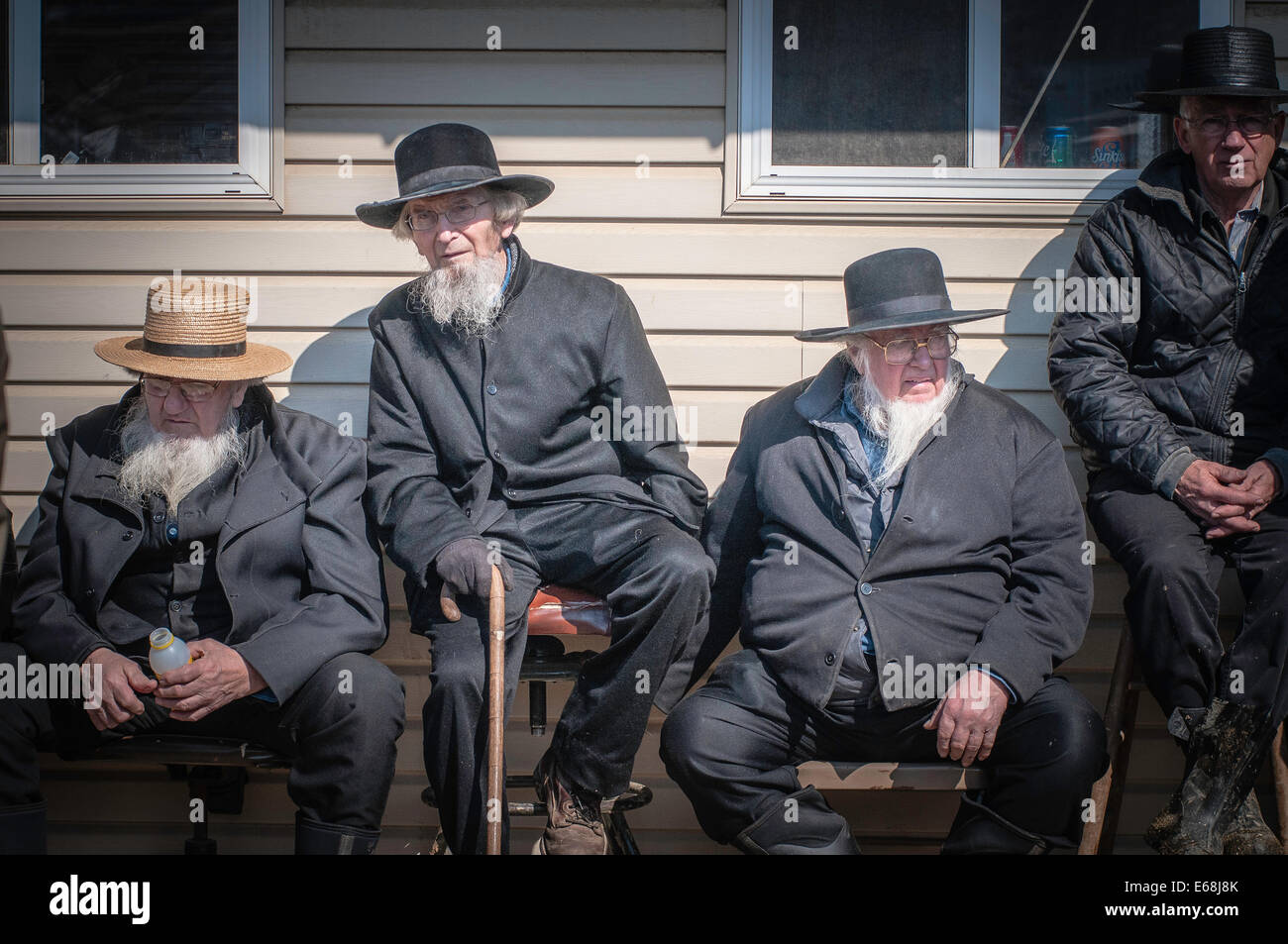 Amish mud sales, spring auctions animals furniture farm equipment ...