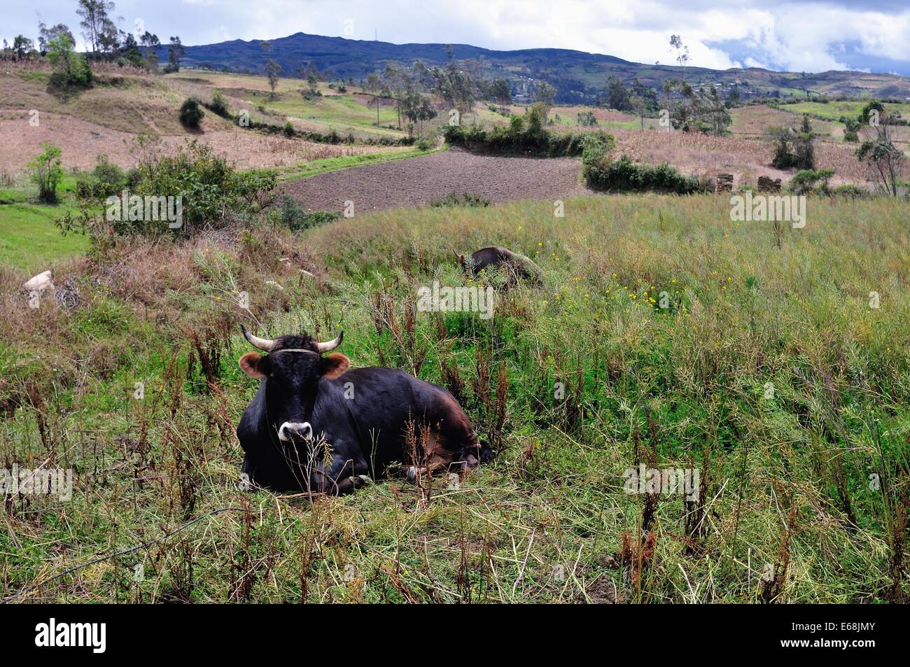 Landscape in Cruzpata - CHACHAPOYAS . Department of Amazonas .PERU ...