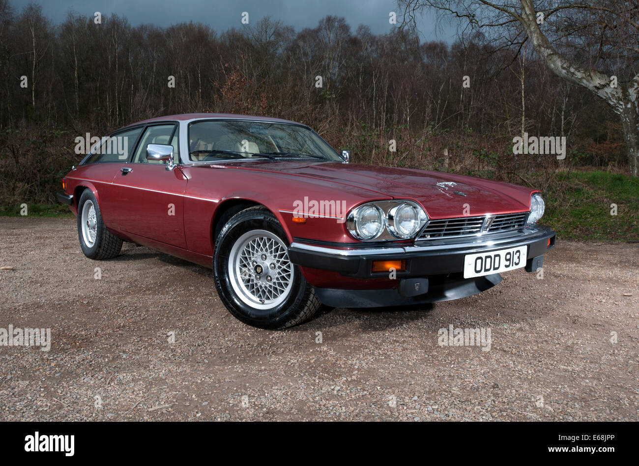 Jaguar XJS based Lynx Eventer shooting brake classic car Stock Photo ...