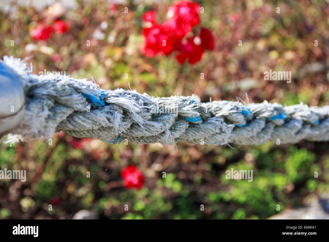 Thick plait hi-res stock photography and images - Alamy