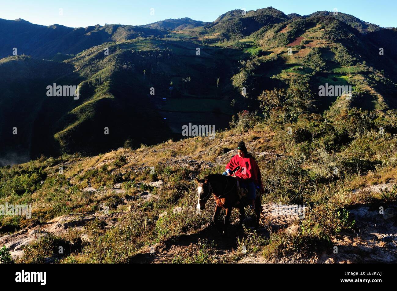 Route for collecting potatoes in Cruzpata - CHACHAPOYAS . Department of ...