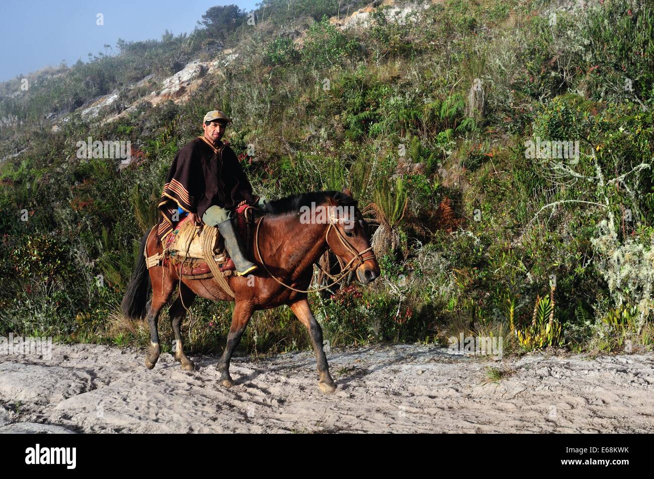 Route for collecting potatoes in Cruzpata - CHACHAPOYAS . Department of ...
